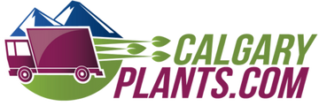 Online Tree Nursery Calgary | Where To Buy Trees Alberta | Trees ...