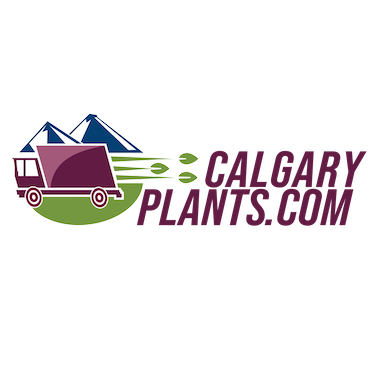 Calgary Plants Online Garden Centre