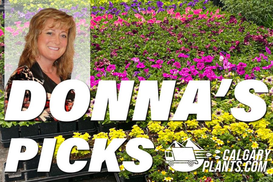 Calgary Plants Online Garden Centre